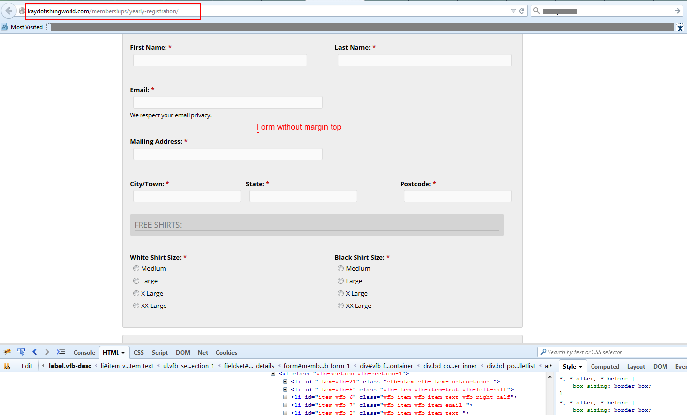 Billion Themler - bullets showing on Visual Form Builder plugin form - BillionAnswers