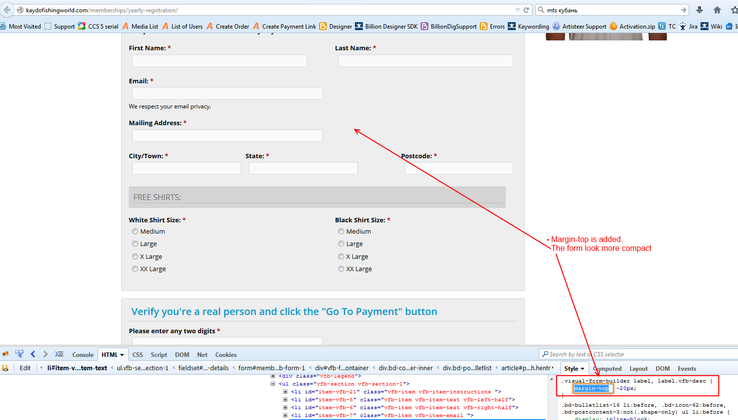 Billion Themler - bullets showing on Visual Form Builder plugin form - BillionAnswers
